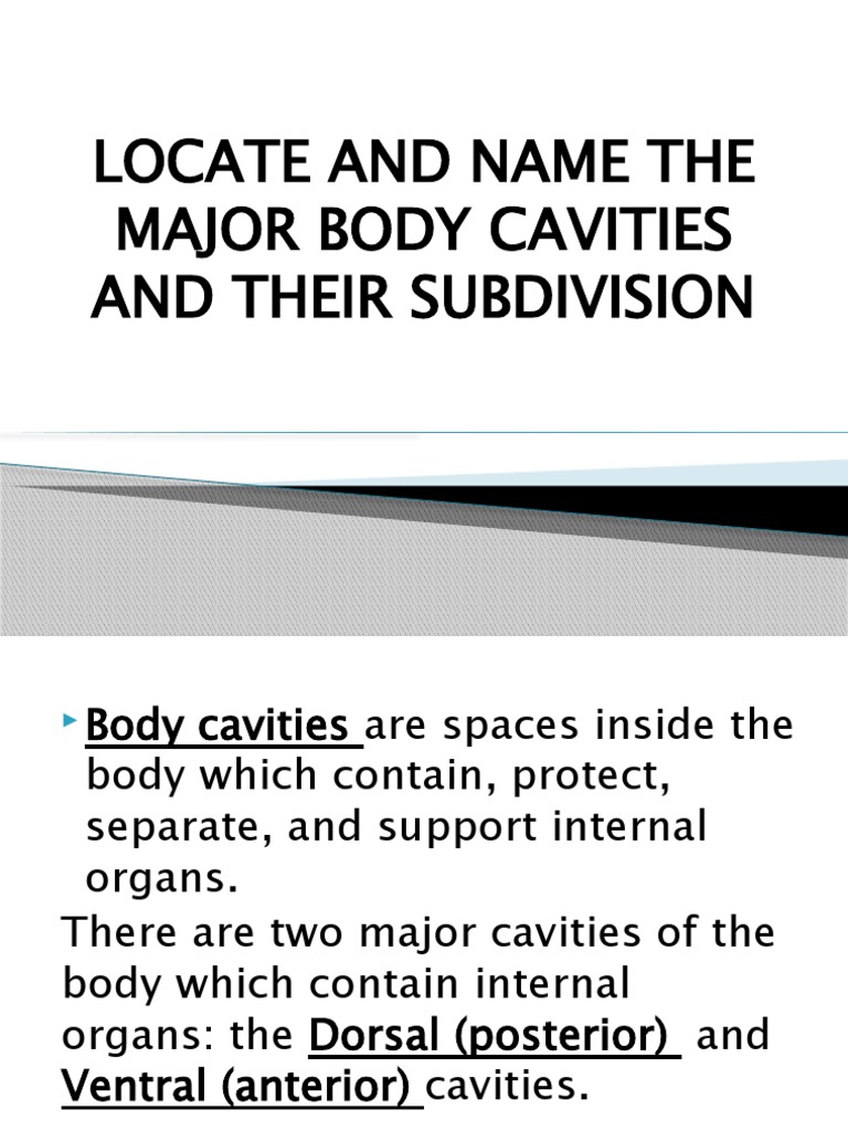 LOCATE AND NAME THE MAJOR BODY CAVITIES AND Marlette | PDF