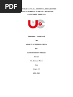 Protocolo de Esquema Zuspan en Preeclampsia | PDF | Unión neuromuscular ...