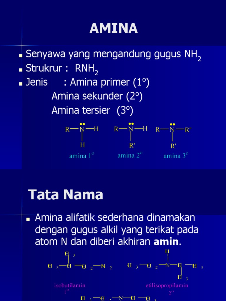 Amina | PDF | Sains & Matematika