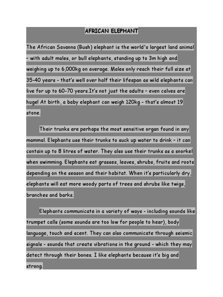 African Elephant | PDF | Science & Mathematics | Technology & Engineering