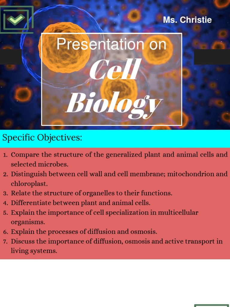Cells 4TH | PDF | Cell (Biology) | Bacteria