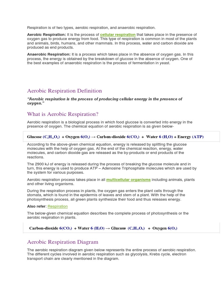 Respiration Is of Two Types | PDF | Cellular Respiration | Diet & Nutrition