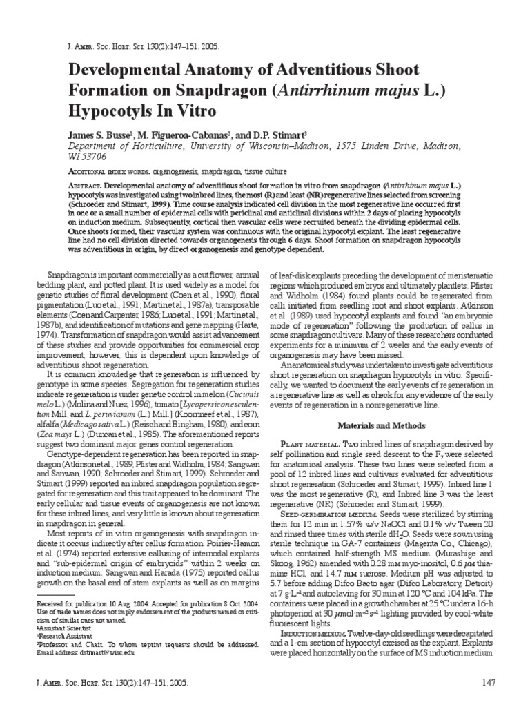 Developmental Anatomy of Adventitious Shoot Formation On Snapdragon ...