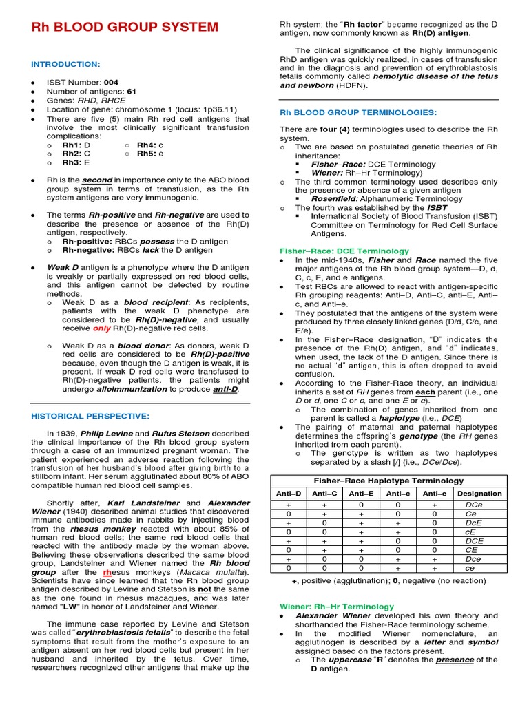 BB - RH BLOOD GROUP SYSTEM | PDF | Blood Type | Antibody