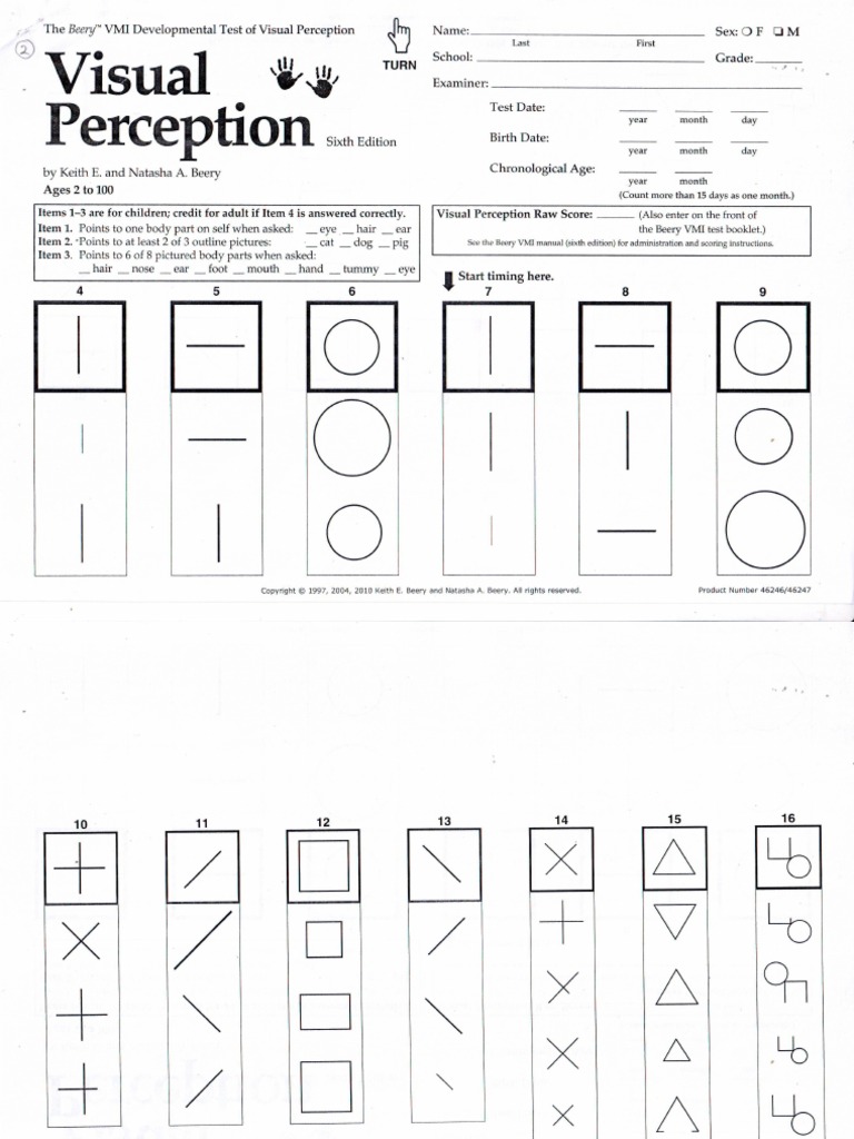 Visual Perception | PDF