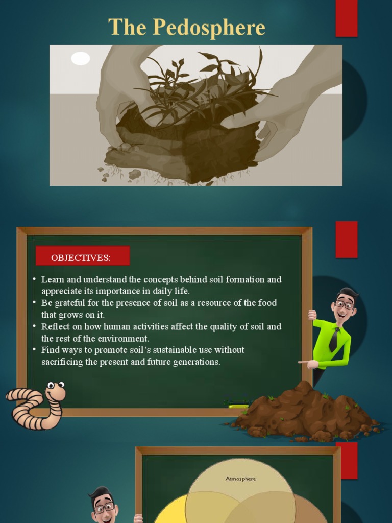 The Pedosphere | Download Free PDF | Soil | Physical Geography