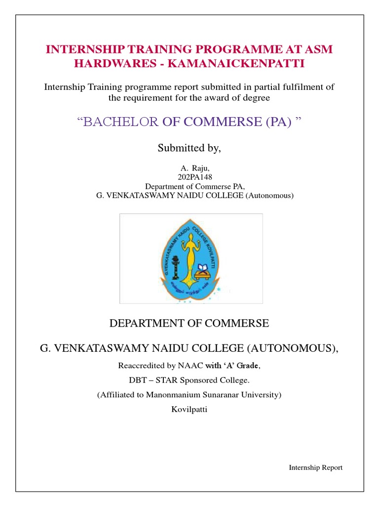 Raju Internship Pdf Taxes Invoice