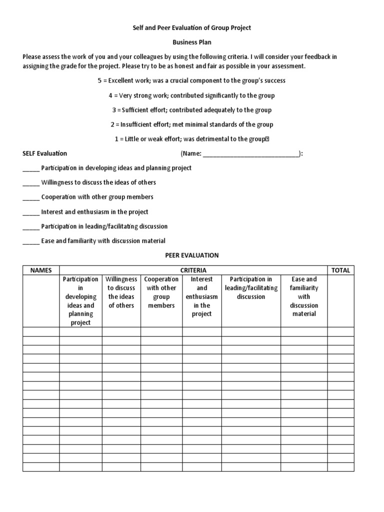 Self & Peer Evaluation Group Project | PDF