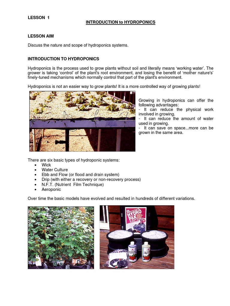 Introduction to Hydroponics Systems | PDF | Hydroponics | Botany