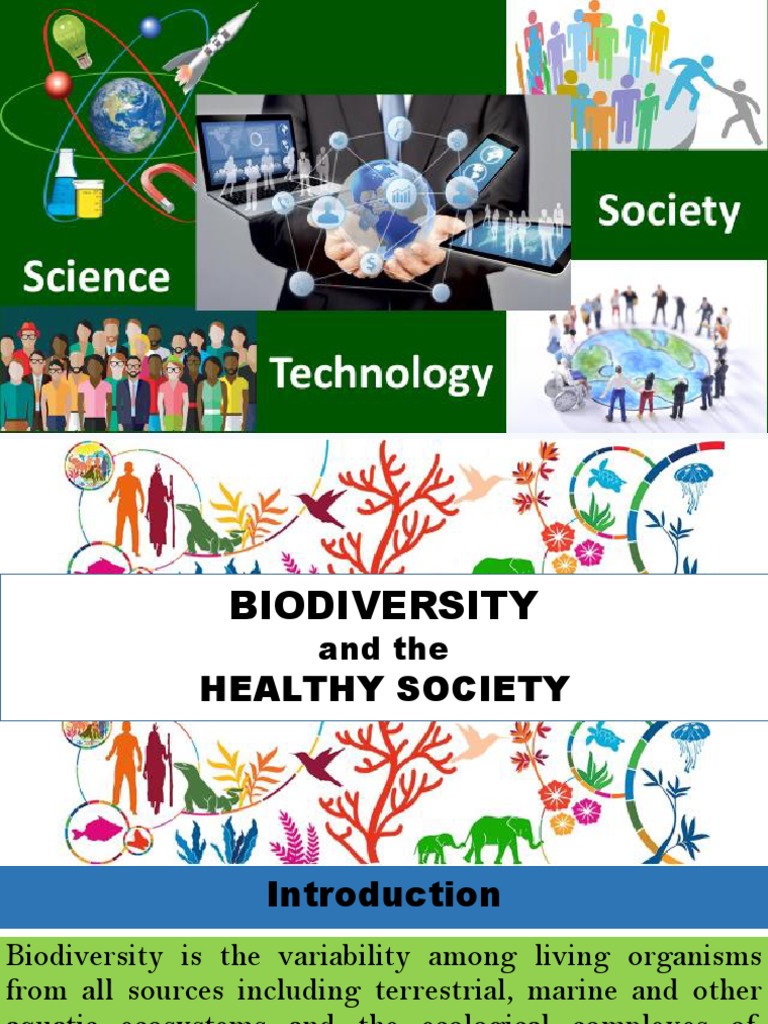 STS Module 12 Biodiversity and The Healthy Society Enhanced | PDF | Biodiversity | Ecosystem