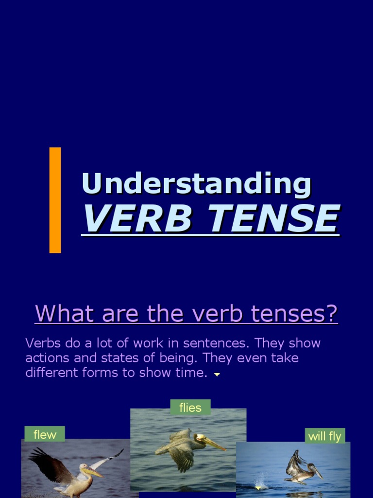 Lesson 3 - Verb Tense and Modals | PDF | Grammatical Tense | Verb