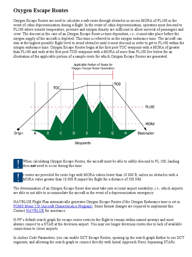 Oxygen Escape Routes | PDF
