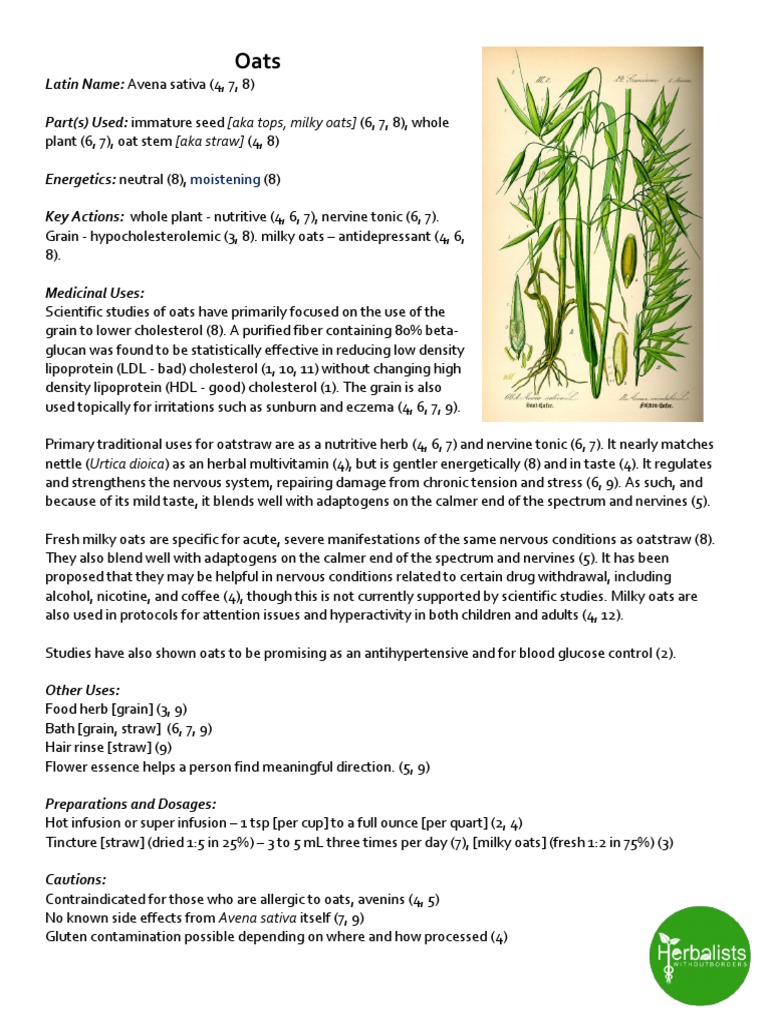 Avena Sativa Monograph Pdf Oat Cholesterol