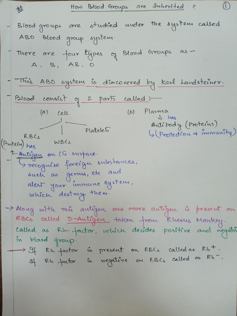 Blood Groups Class 10th | PDF