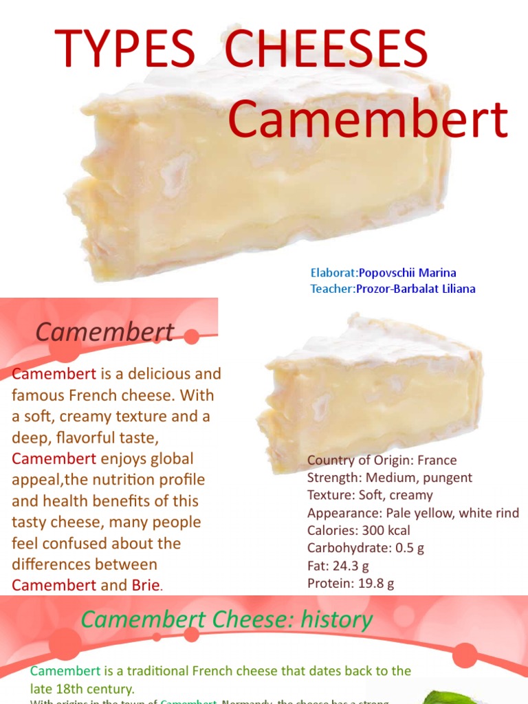 Types Cheeses Camembert | PDF | Cheesemaking | Cheese