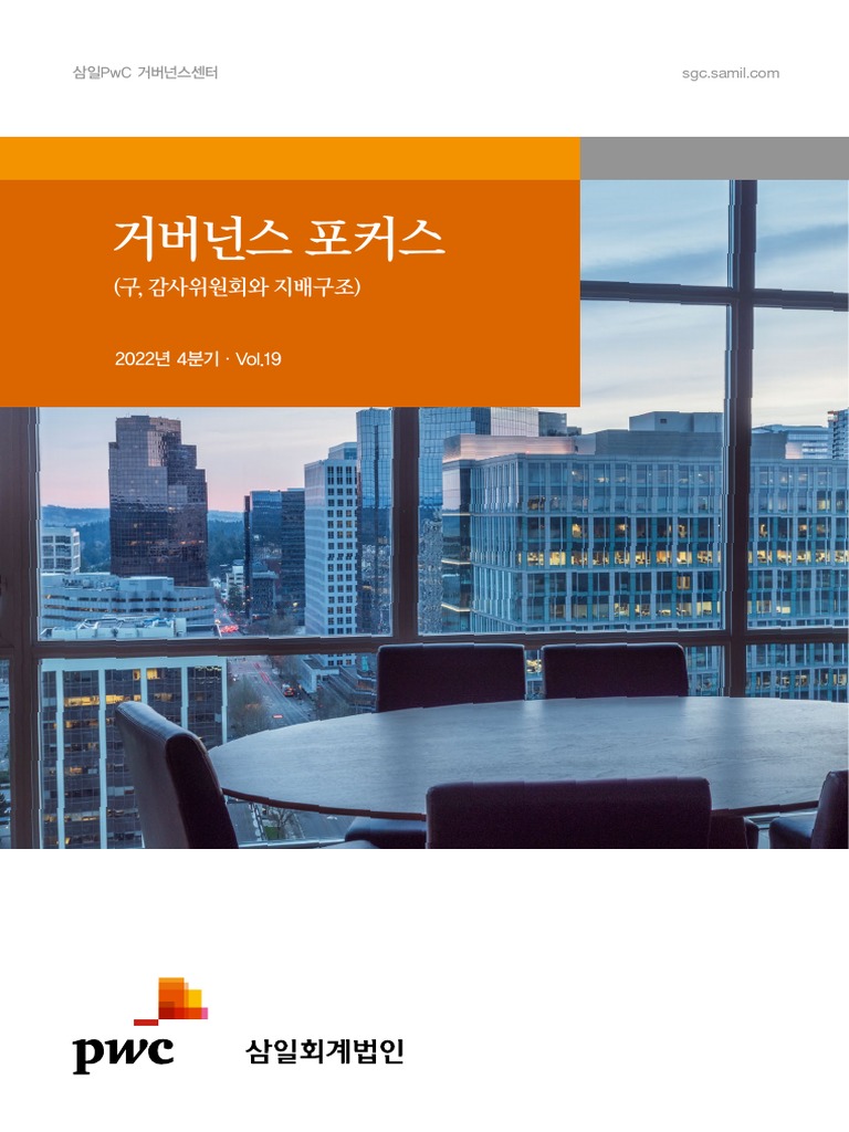 PWC Governance Focus | PDF