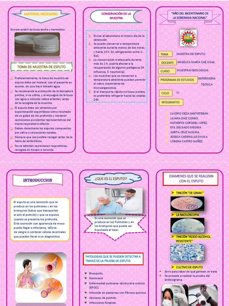 Procedimiento para Toma de Muestra de Esputo | PDF | Tos ...