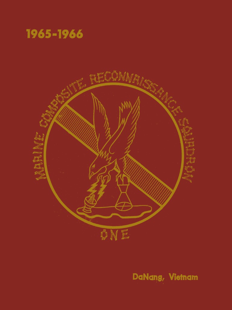 In Remembrance: Memorializing Two Fallen Marines of VMCJ-1 Squadron Who ...