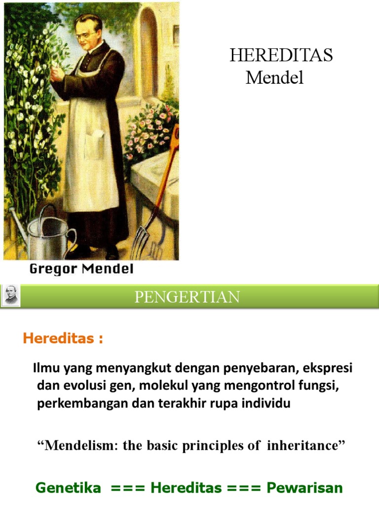 Xii Hereditas Mendel | PDF