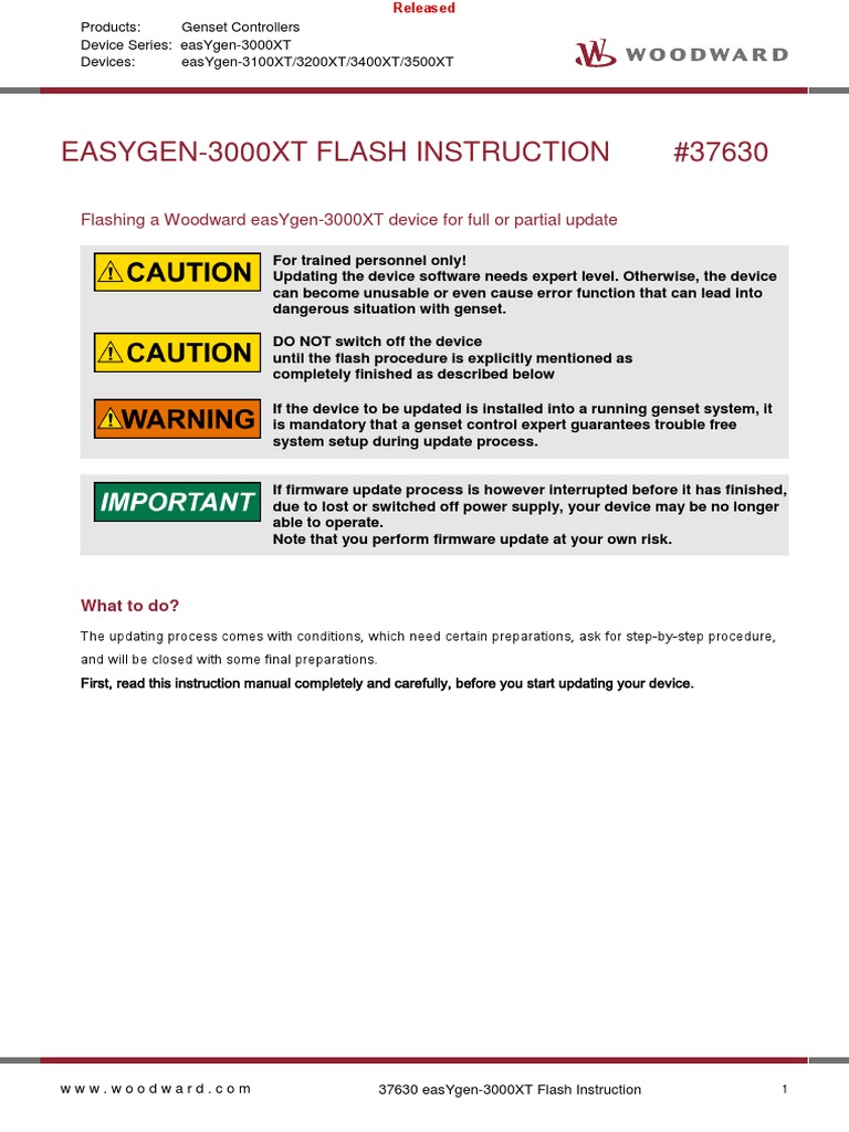 Easygen 3000XT Flash Instruction | PDF | Booting | Adobe Flash