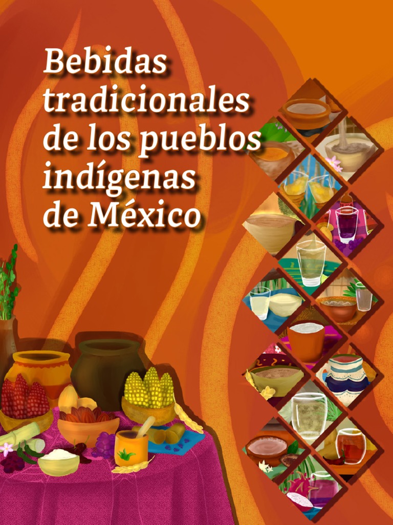 Libro Bebidas Tradicionales de Los Pueblos Indigenas INPI | PDF | Chocolate