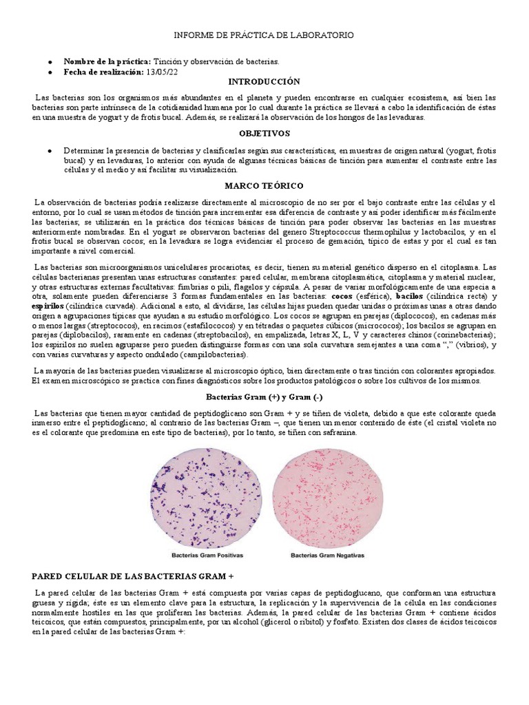 Informe Analisis Microbiologico | PDF | Microbiología | Especialidades Medicas