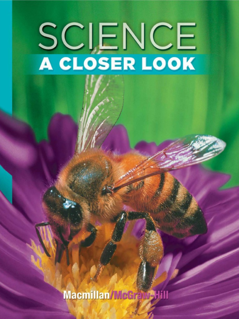 A Closer Look G2 | PDF