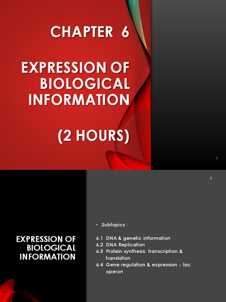 6.2. DNA Replication PDF | PDF | Translation (Biology) | Operon