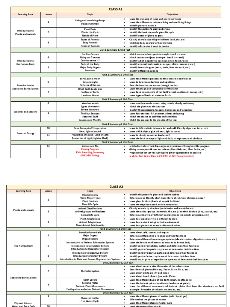 Bee - Lesson Plan | PDF