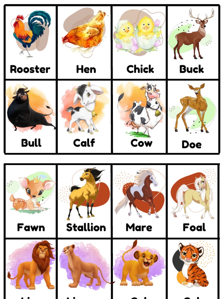 Rooster | PDF