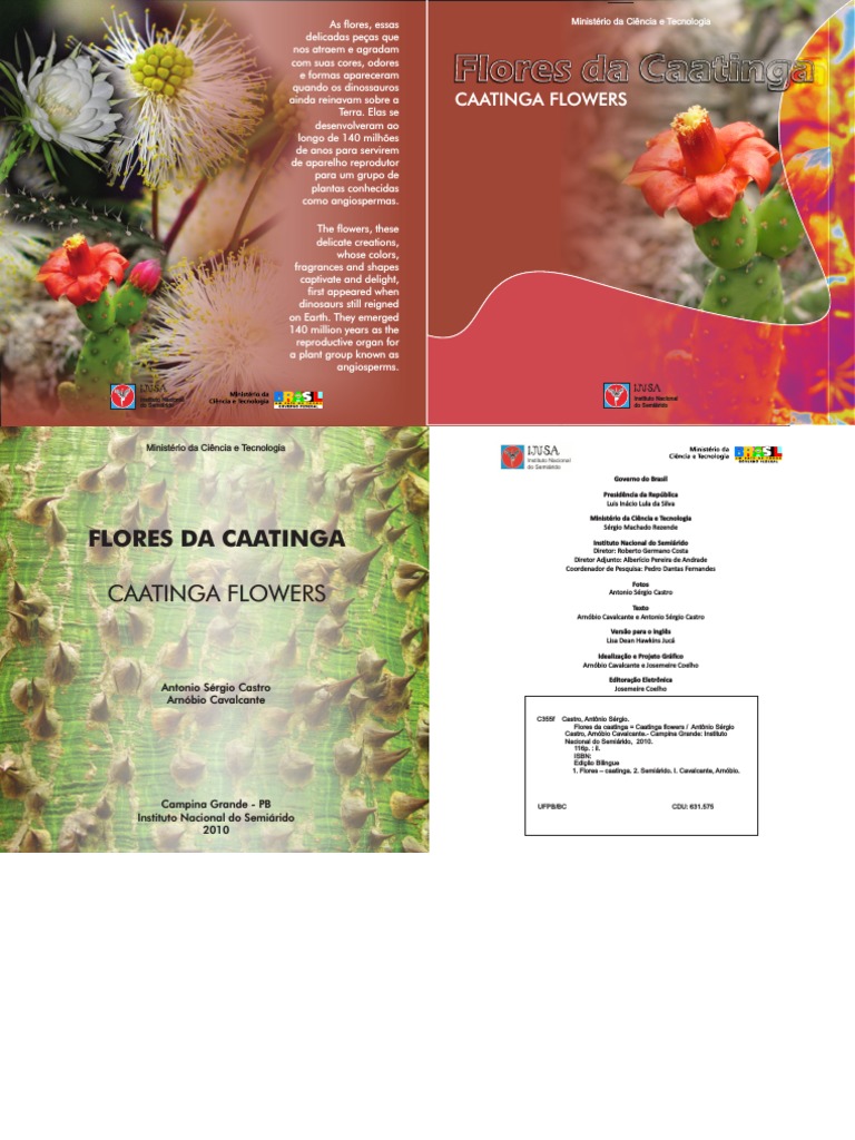 CAATINGA - FLORES DA CAATINGA - Caatinga Flowerspdf - 211014 - 163018 | PDF | Plantas ...