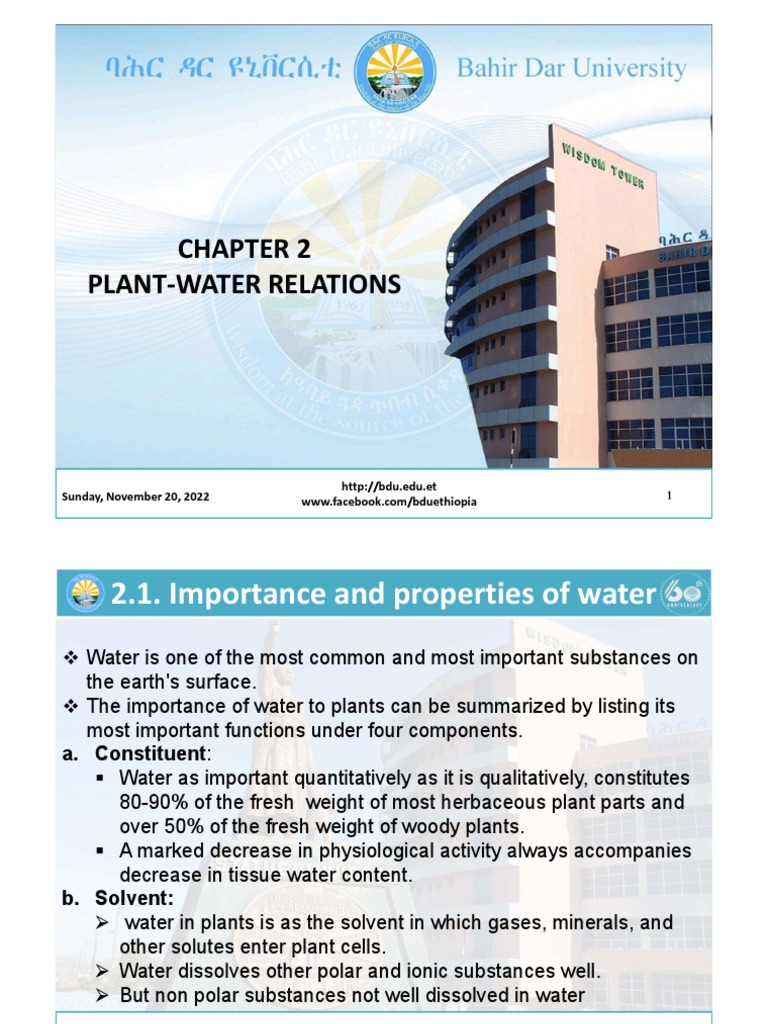 Chapter 2 Plant-Water Relations | PDF | Stoma | Water