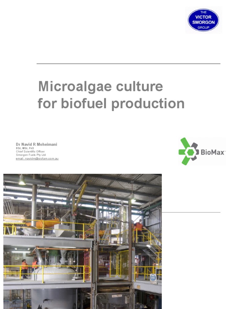Microalgae Culture Project | PDF