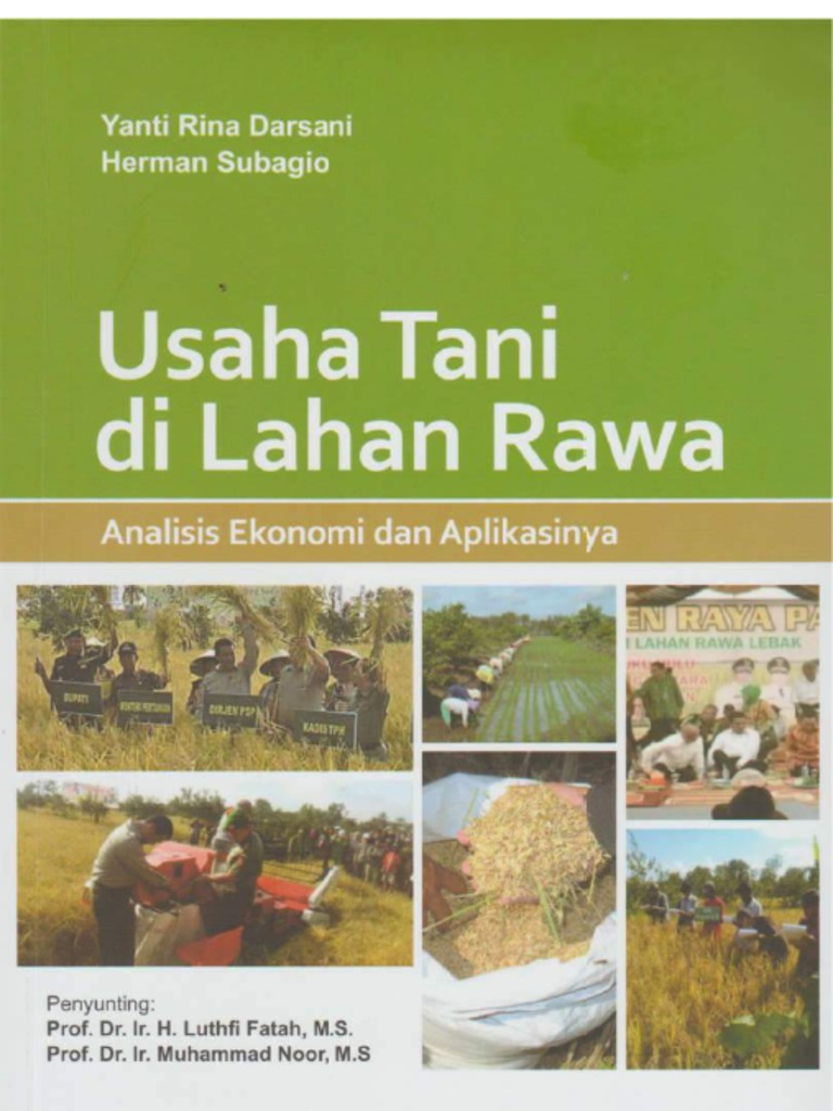 Usaha Tani Di Lahan Rawa Analisis Ekonomi Dan Aplikasinya (Yanti Rina ...