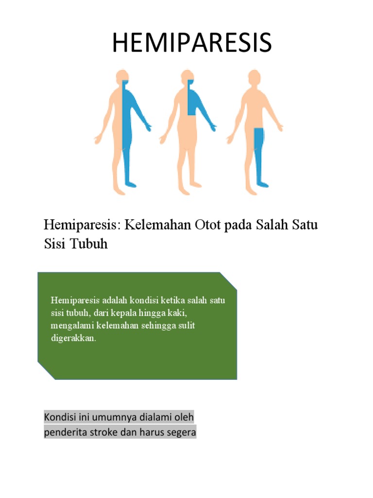 Leaflet HEMIPARESIS | PDF | Kesehatan Holistik