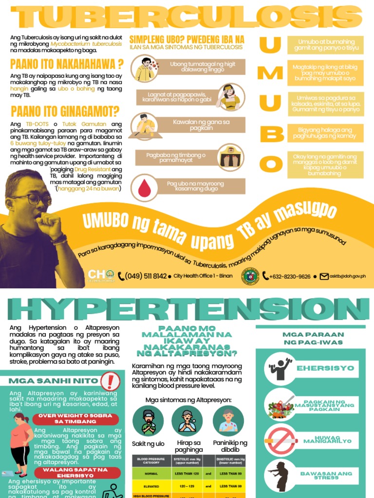 Leaflet TB HPN | PDF