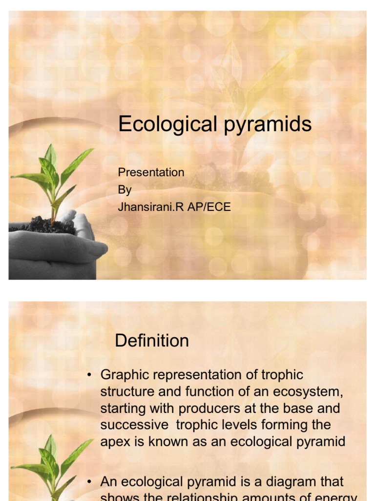 Ecological Pyramids, Energy Flow & Nutrient Cycle | PDF | Food Web ...