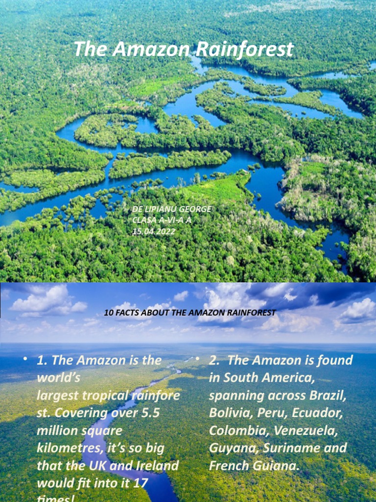 The Amazon Rainforest | Download Free PDF | Amazon Rainforest