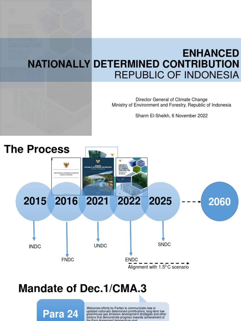 Presentation ENDC | PDF | Environmental Policy | Climate Change Policy