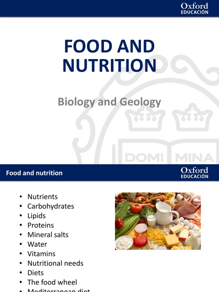 Food Nutrition Presentation | PDF | Carbohydrates | Foods