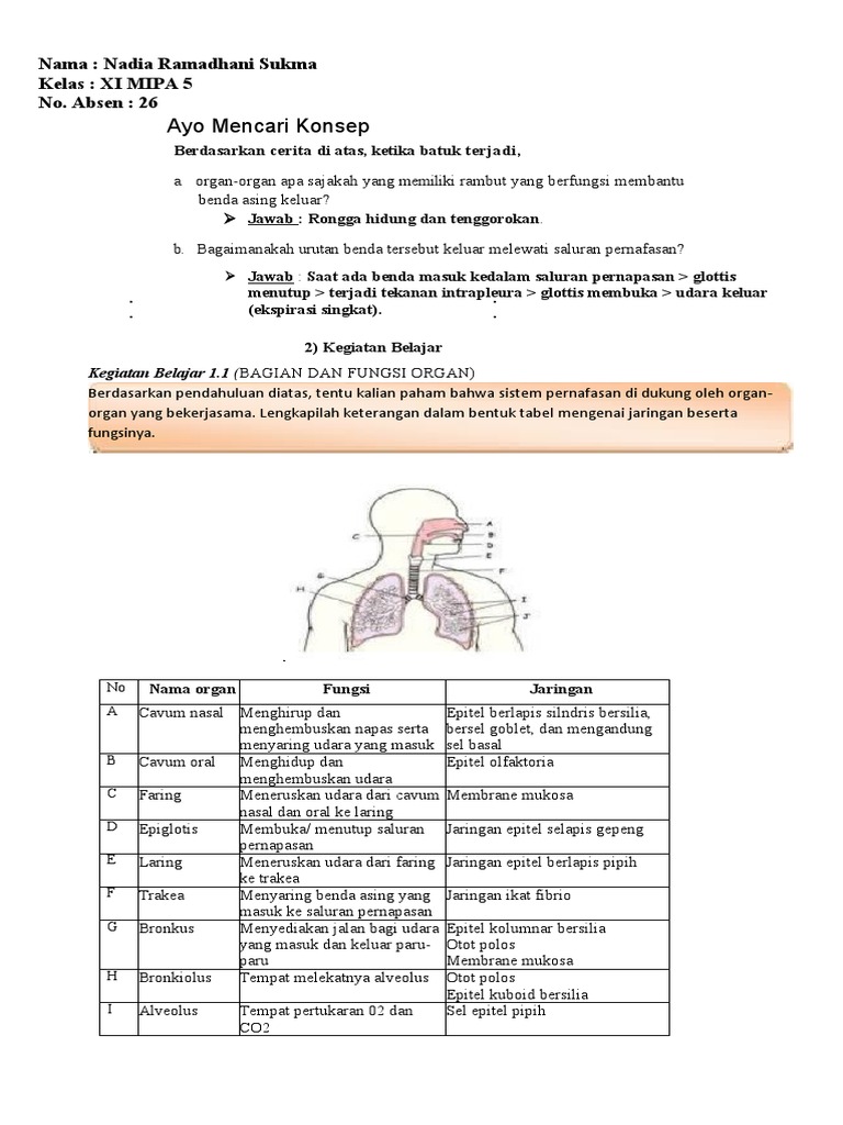 Tugas UKBM Bio Sistem Respirasi-Nadia Ramadhani Sukma XI Mipa5 | PDF