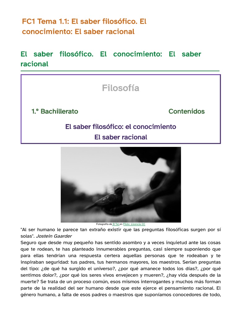 FC1 Tema 1.1 El Saber Filosofico. El Conocimiento El Saber Racional ...