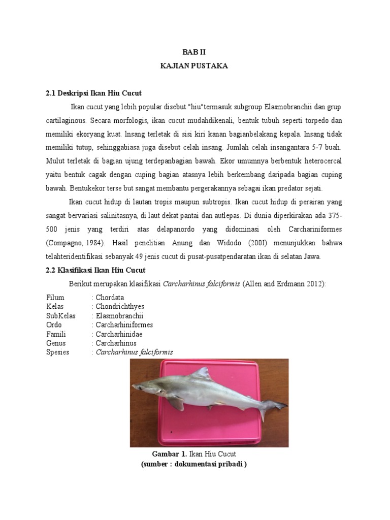 BAB II Dan III Ikan Cucut | PDF