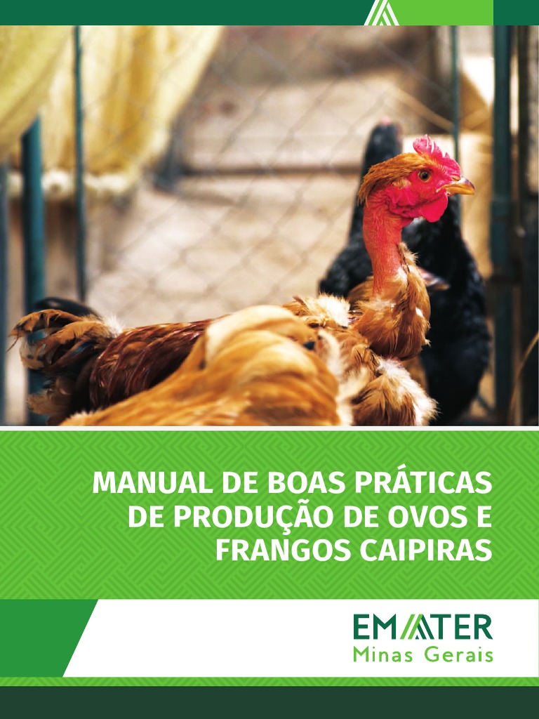 Ovos | PDF | Ovo (alimento) | Frango