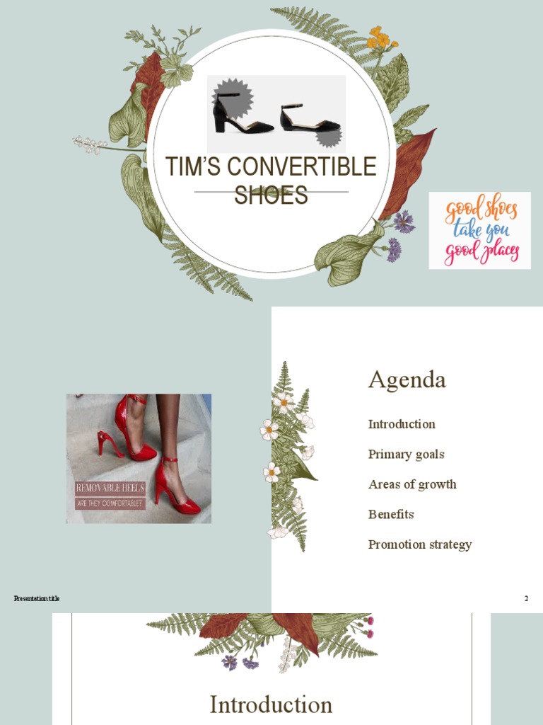 Tim's Convertible Shoe Benefits | PDF | Shoe | Economies