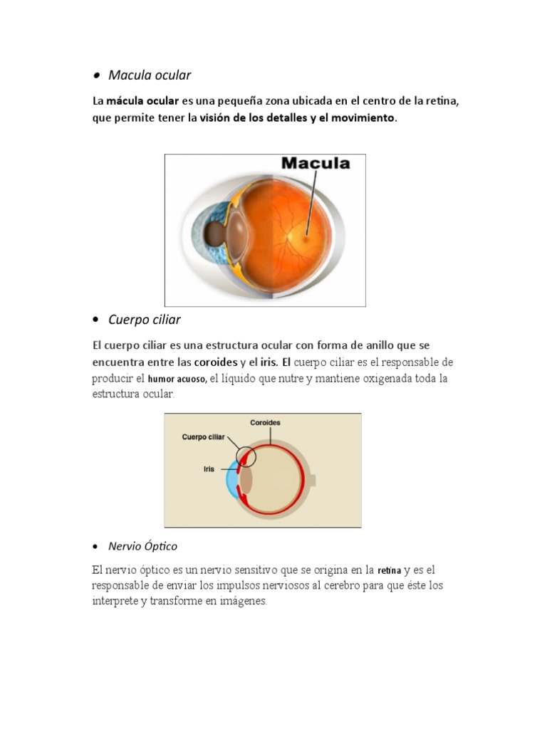 Exposición Biof. | PDF