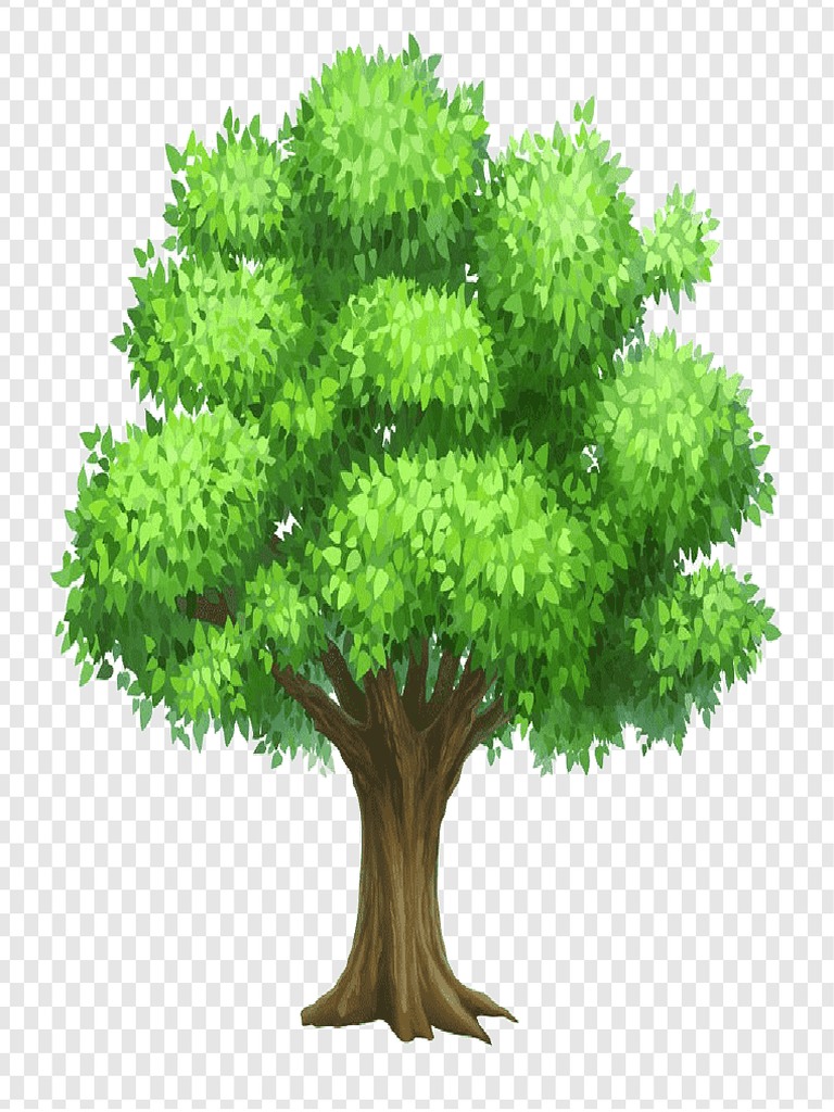 Árbol | PDF