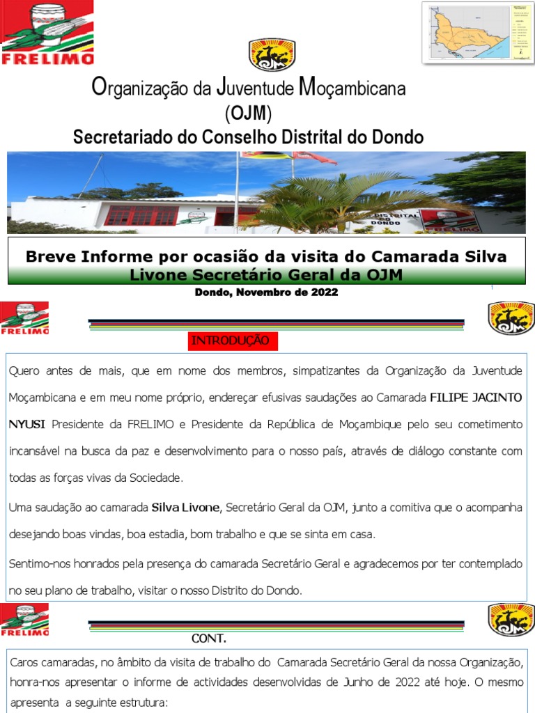 Informe da Visita de Silva Livone à OJM | PDF | Moçambique