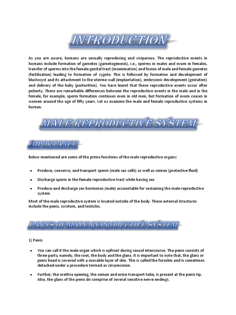 Human Reproductive System | PDF | Reproductive System | Birth Control