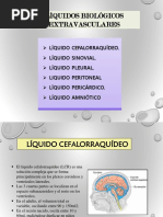 Características del Líquido Cefalorraquídeo | PDF | Meningitis | Fluido ...